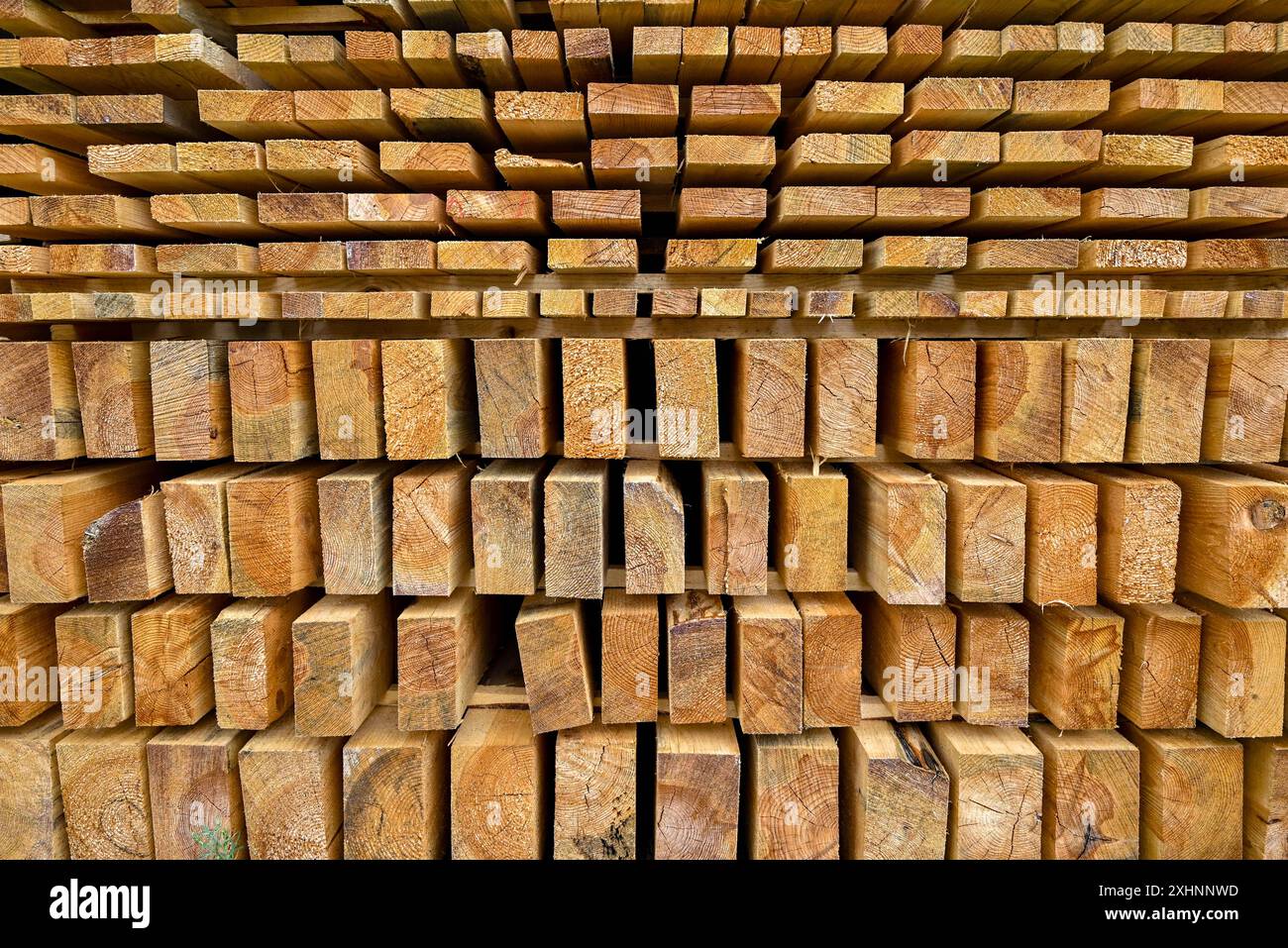wooden blocks and boards of different shapes lie on the ground after ...