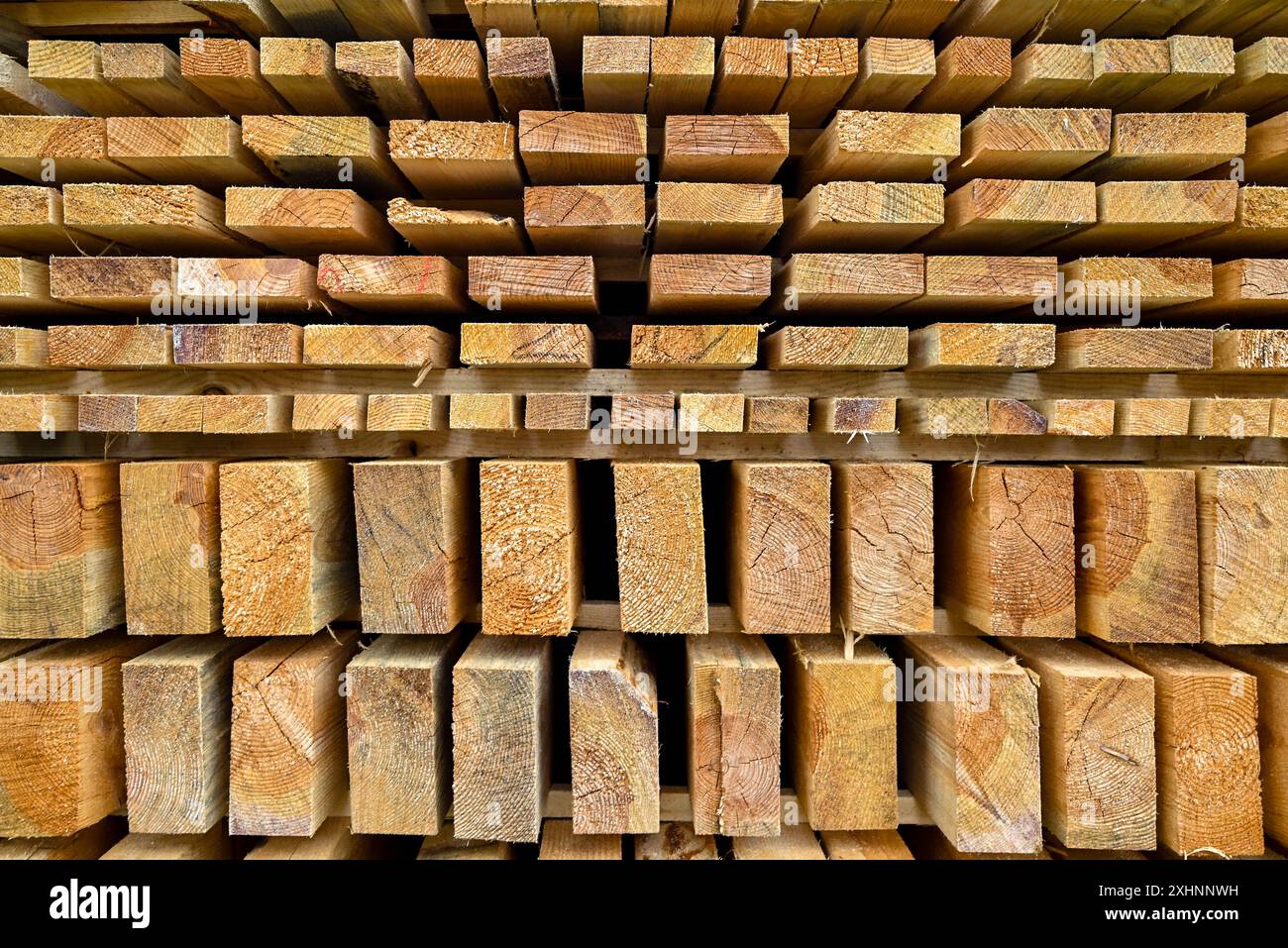 wooden blocks and boards of different sizes and shapes lie on the ...