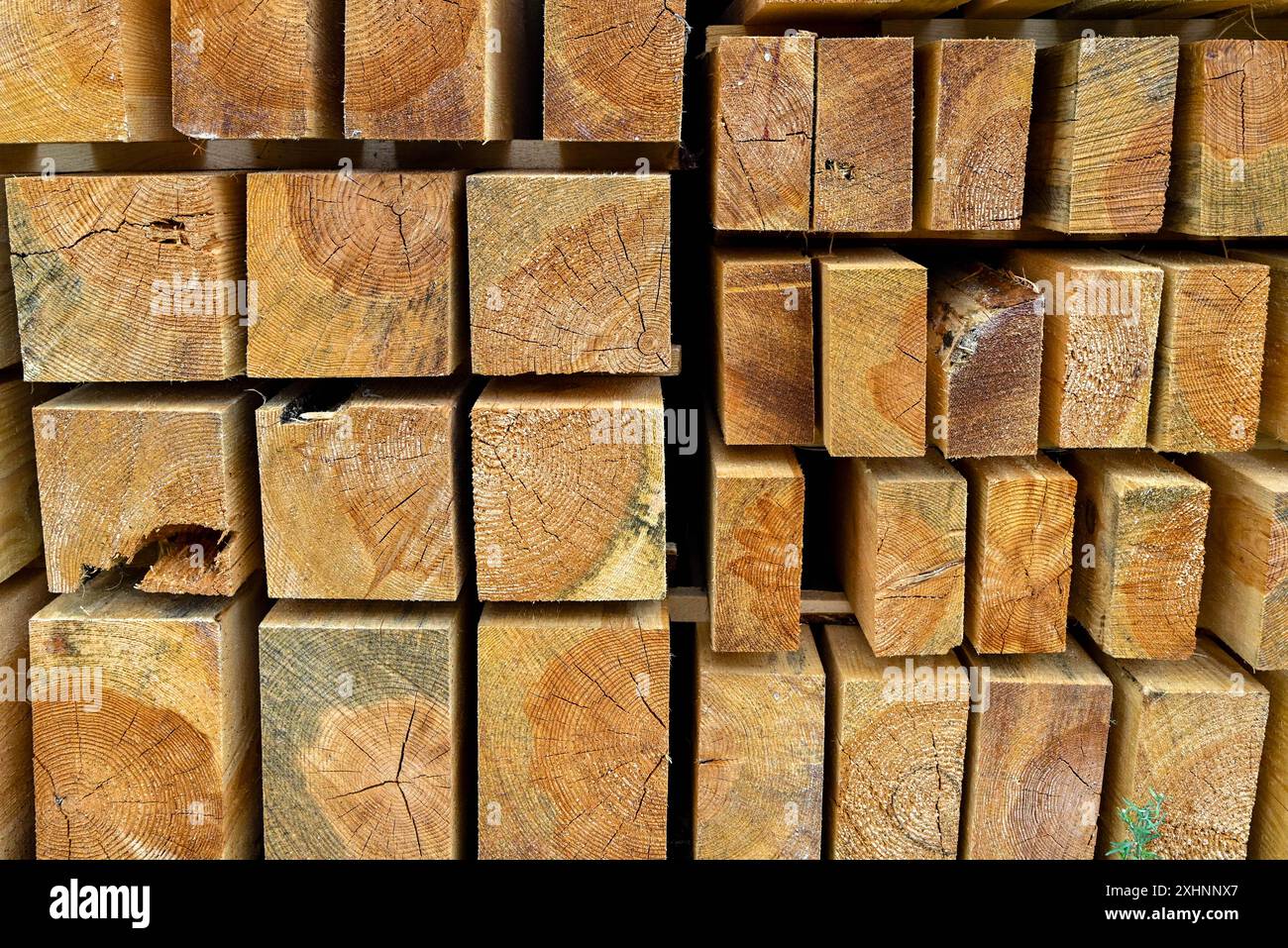 wooden blocks and boards of different sizes lie on the ground in the ...