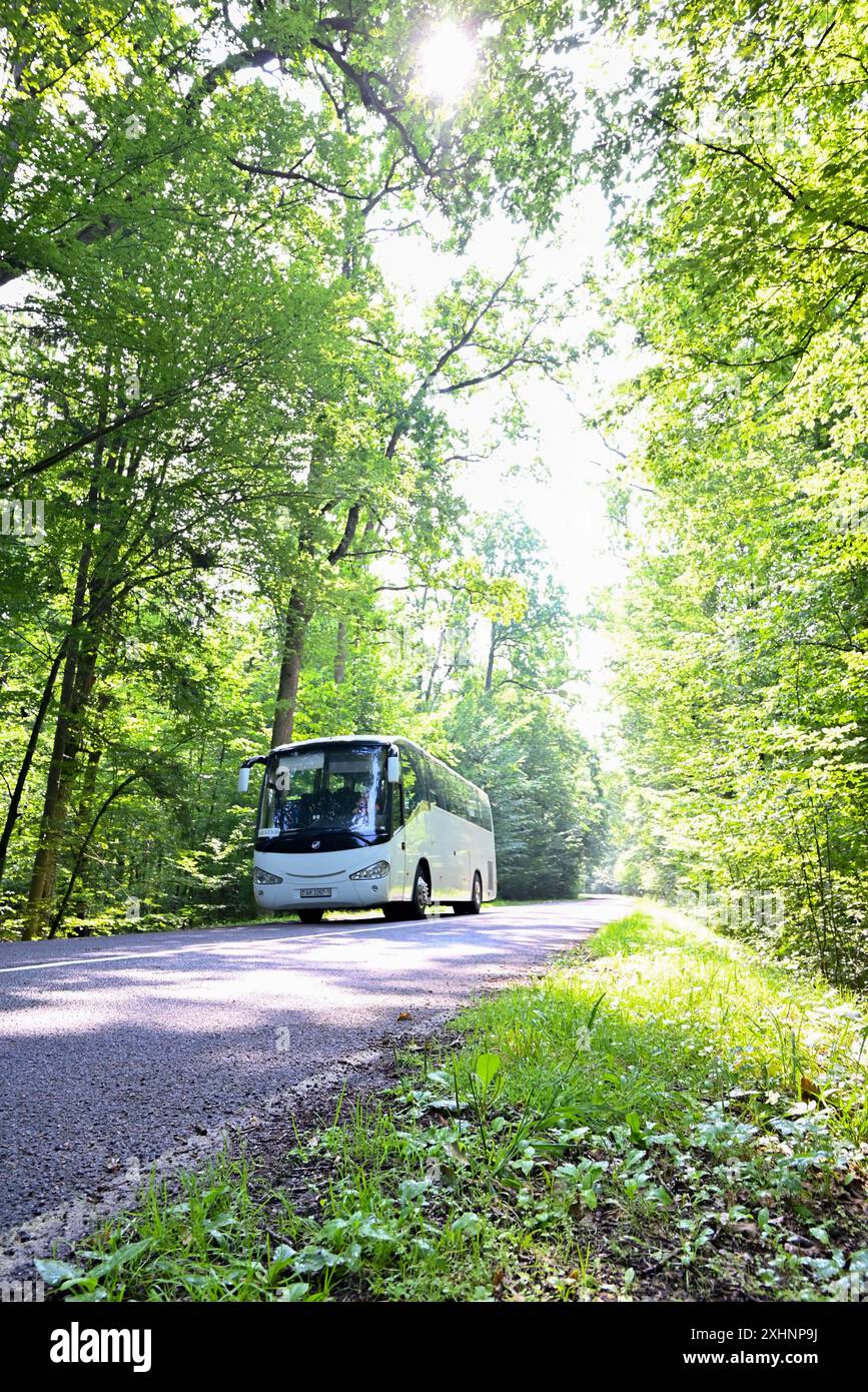 there is awhite tourist bus for travel on a concrete road in the forest ...