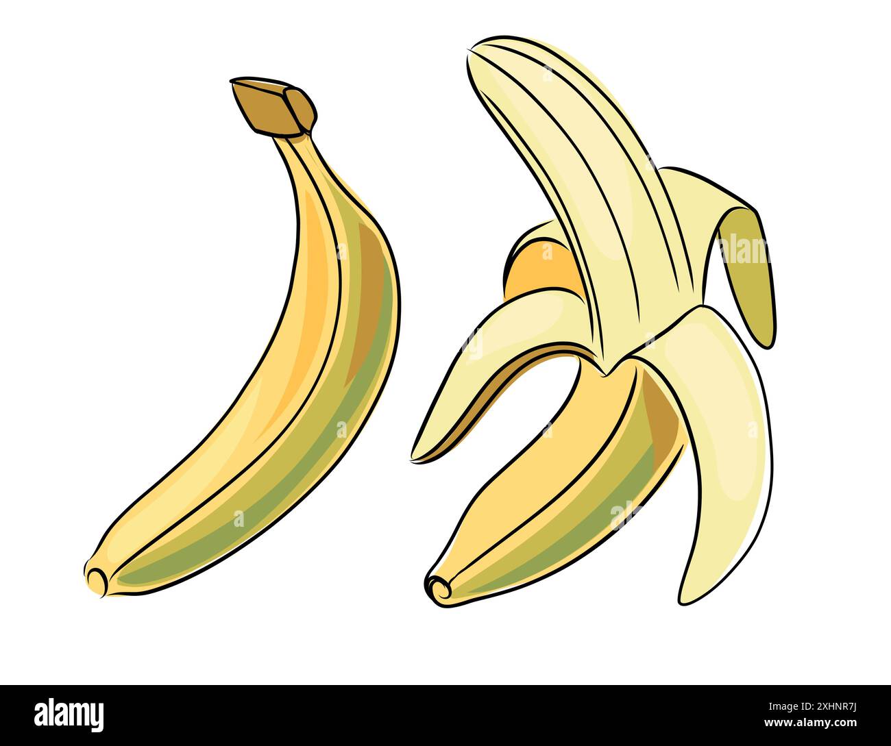 Set of hand drawn fresh yellow banana with peel. Whole and halved ...