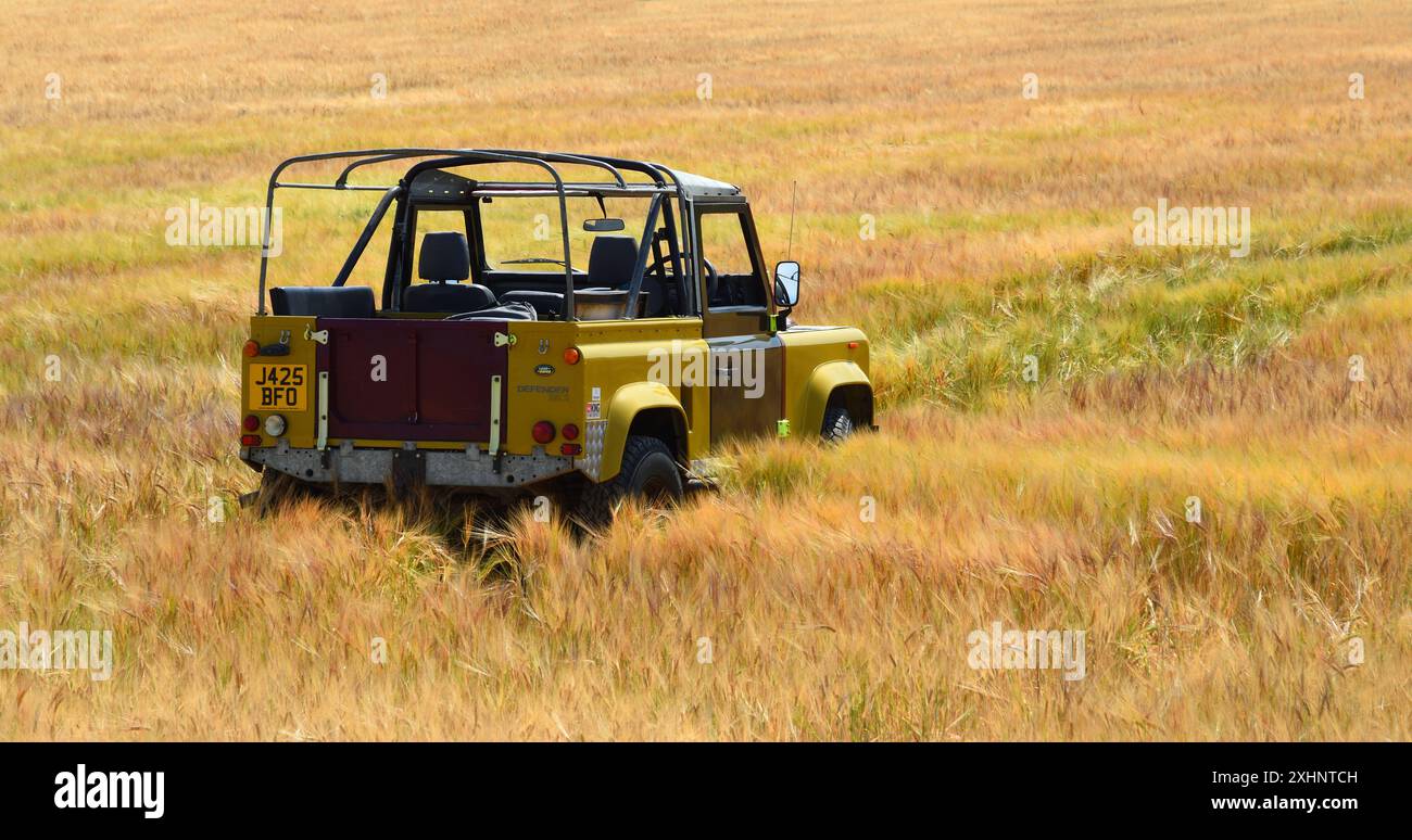 Land Rover Defender parked in field of wheat Stock Photo - Alamy