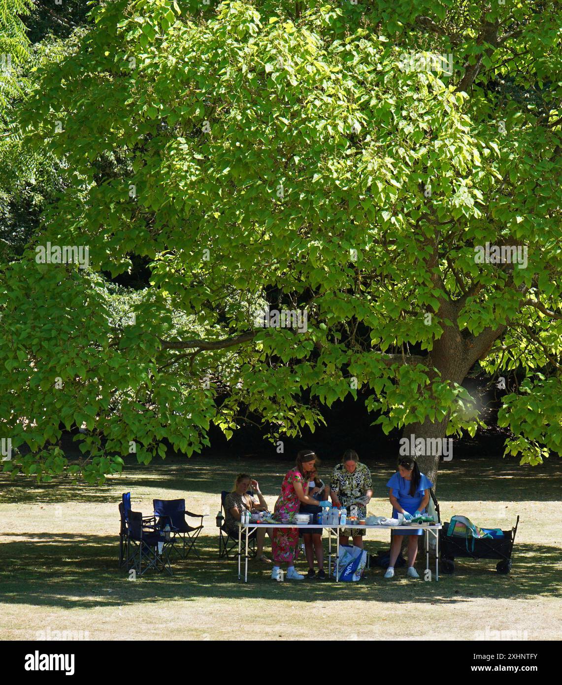 Setting up tree hi-res stock photography and images - Alamy