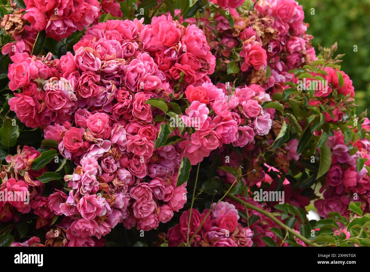 Typical brittany village hi-res stock photography and images - Alamy