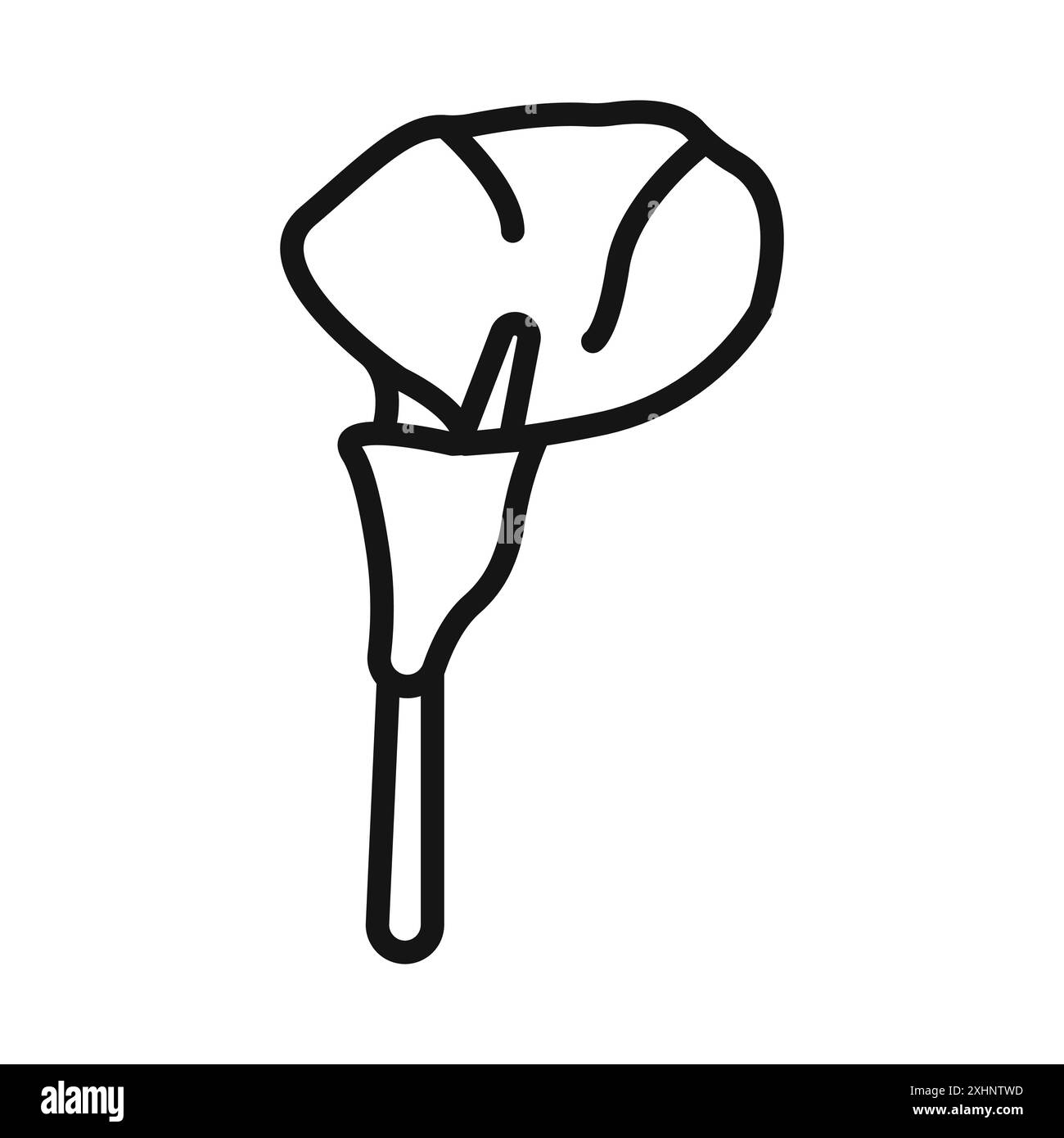 calla icon Black line art vector in black and white outline set collection sign Stock Vector ...