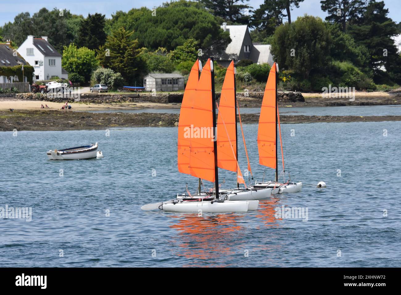 3 small orange sailing catamarans. Beauty of golf Of Morbihan, Brittany ...