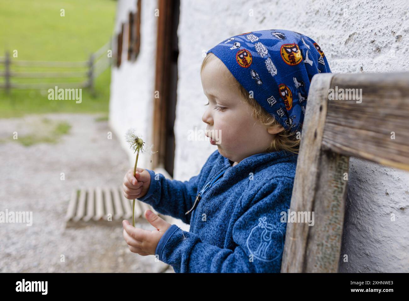 Zwei Jahre altes Kind mit Pusteblumen, Murnau, 19.05.2023. Murnau ...