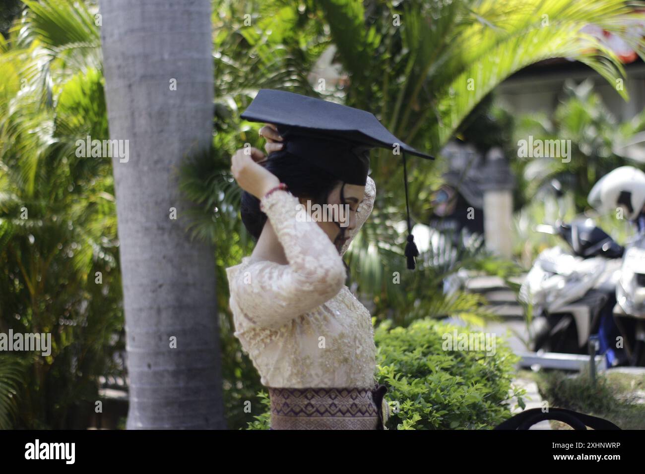 Achievements certificate hi-res stock photography and images - Alamy