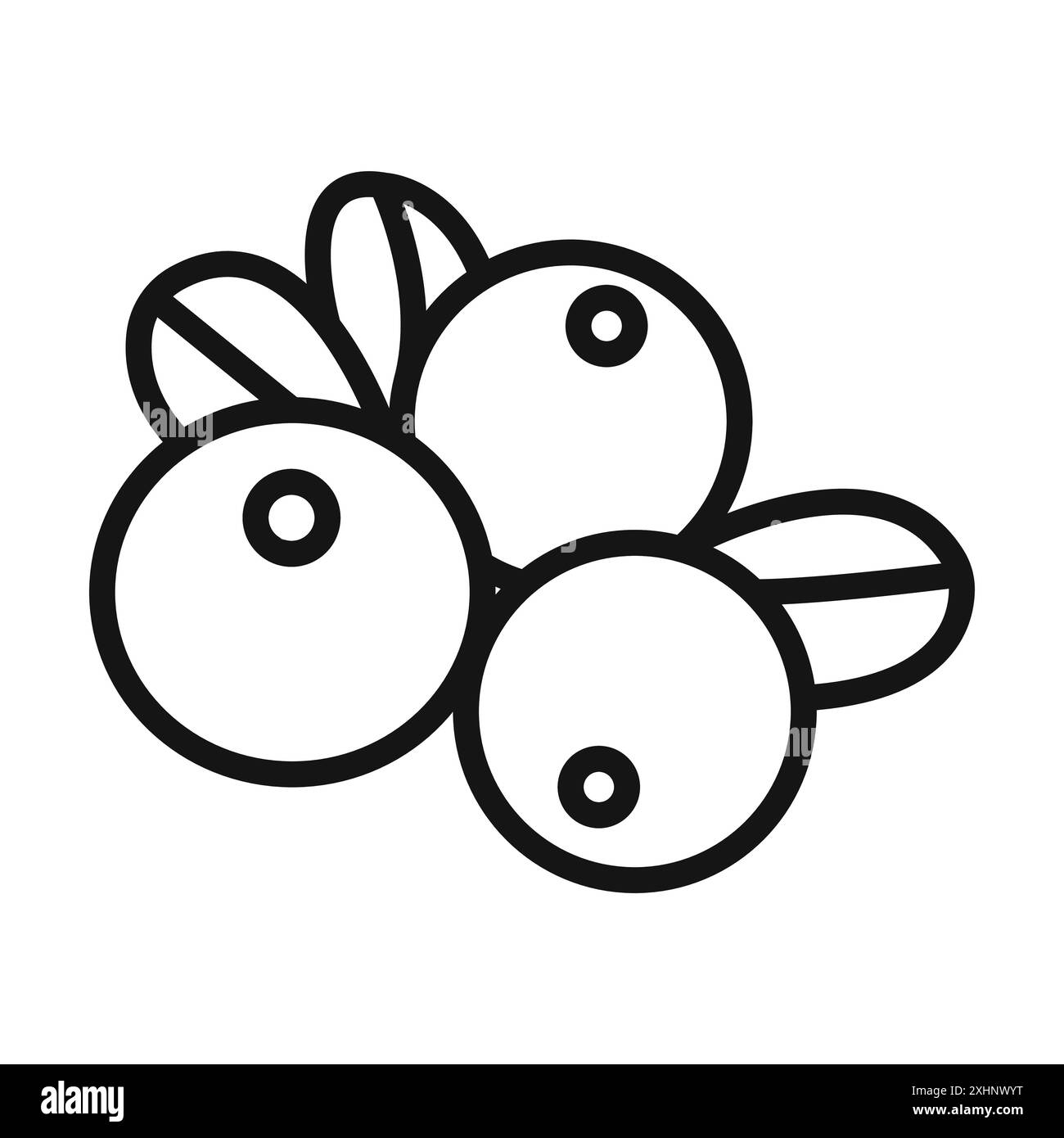 Cranberry icon Black line art vector in black and white outline set ...