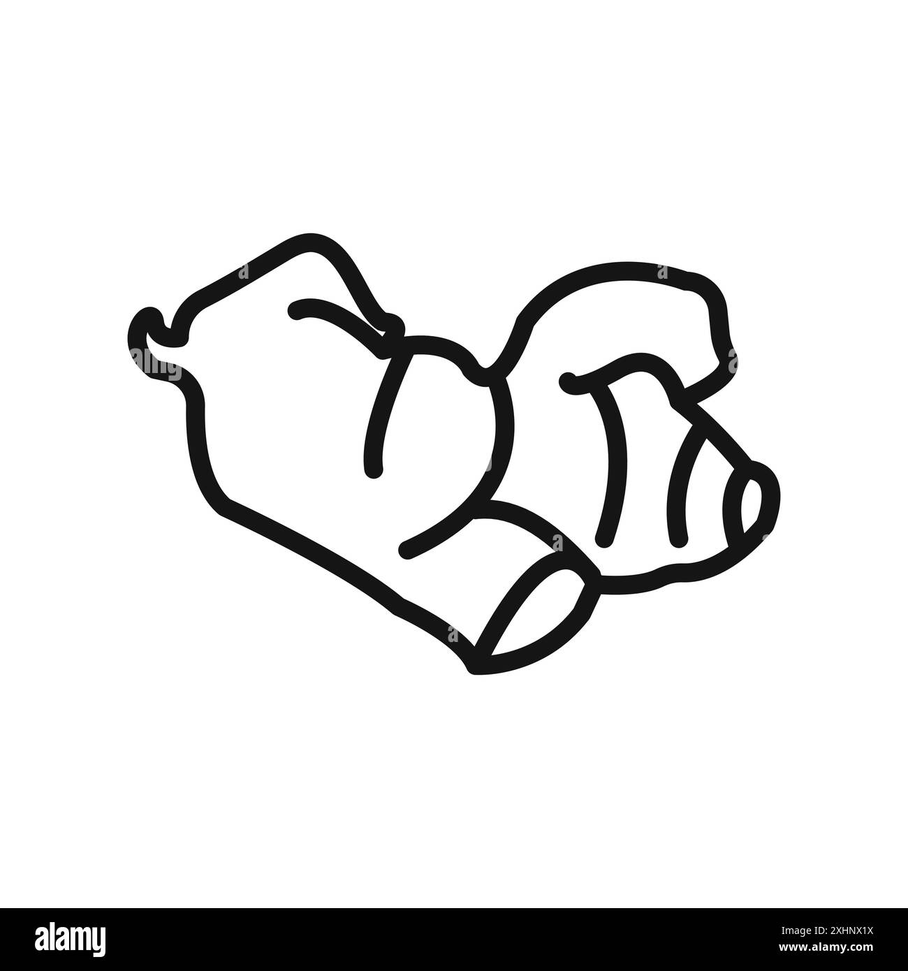 ginger icon Black line art vector in black and white outline set ...