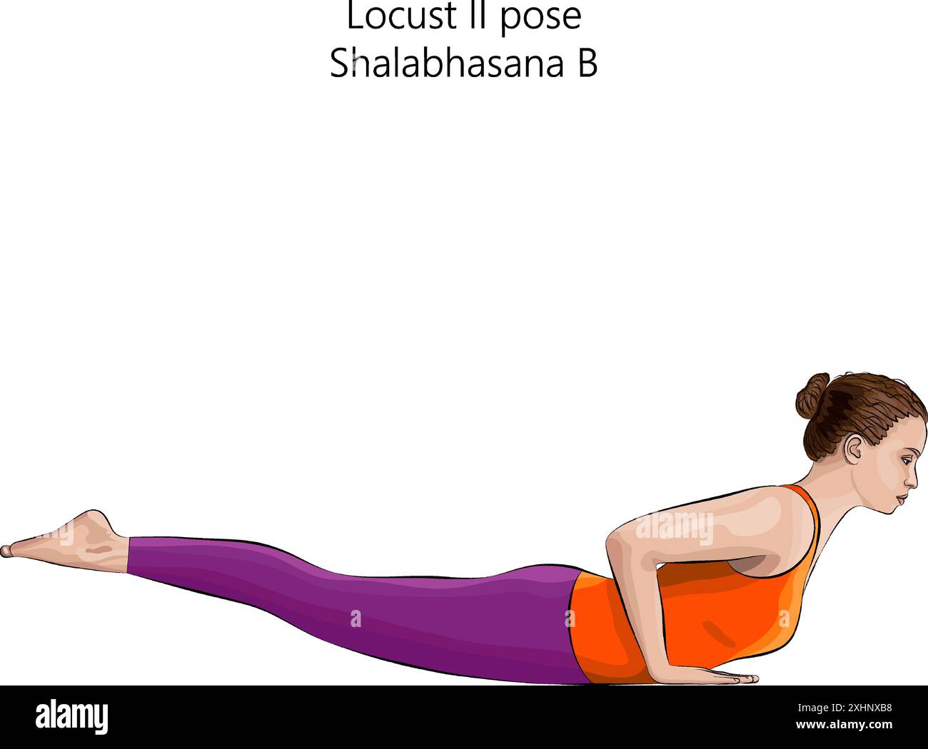 Young woman practicing Shalabhasana B yoga pose. Locust II pose ...