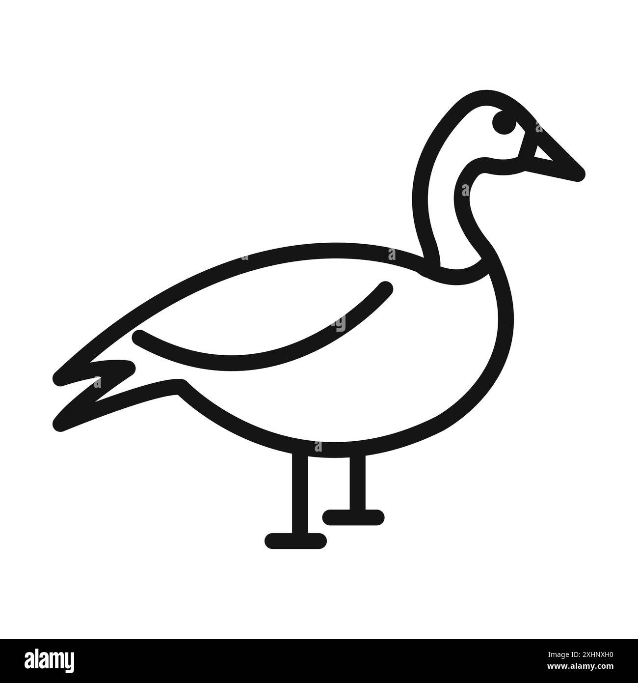 Goose icon Black line art vector in black and white outline set ...