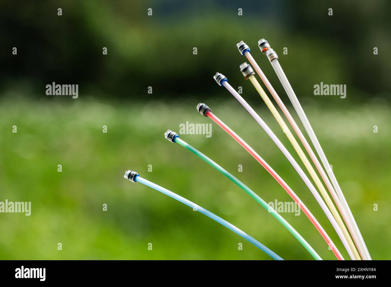 Rottweil, Germany. 15th July, 2024. Fiber optic cables with various ...