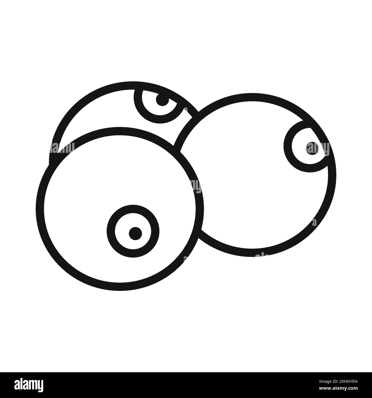 Nance icon Black line art vector in black and white outline set collection sign Stock Vector ...