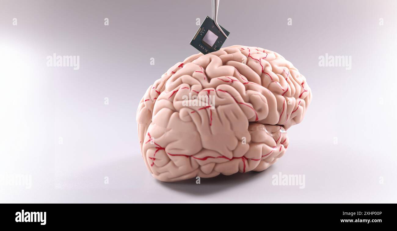 Tiny computer chip detail in human brain Stock Photo - Alamy