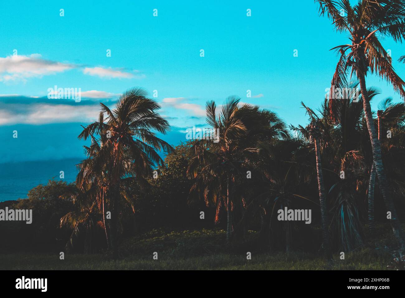 Sustainable travel hawaii hi-res stock photography and images - Alamy
