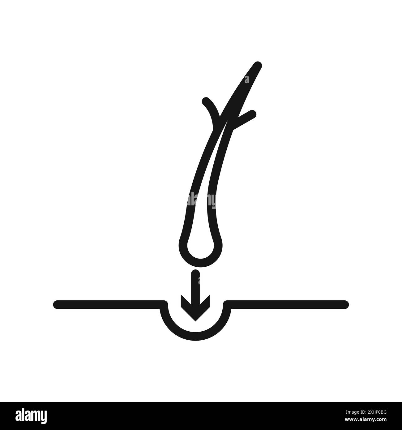 Scalp icon Black and White Stock Photos & Images - Alamy