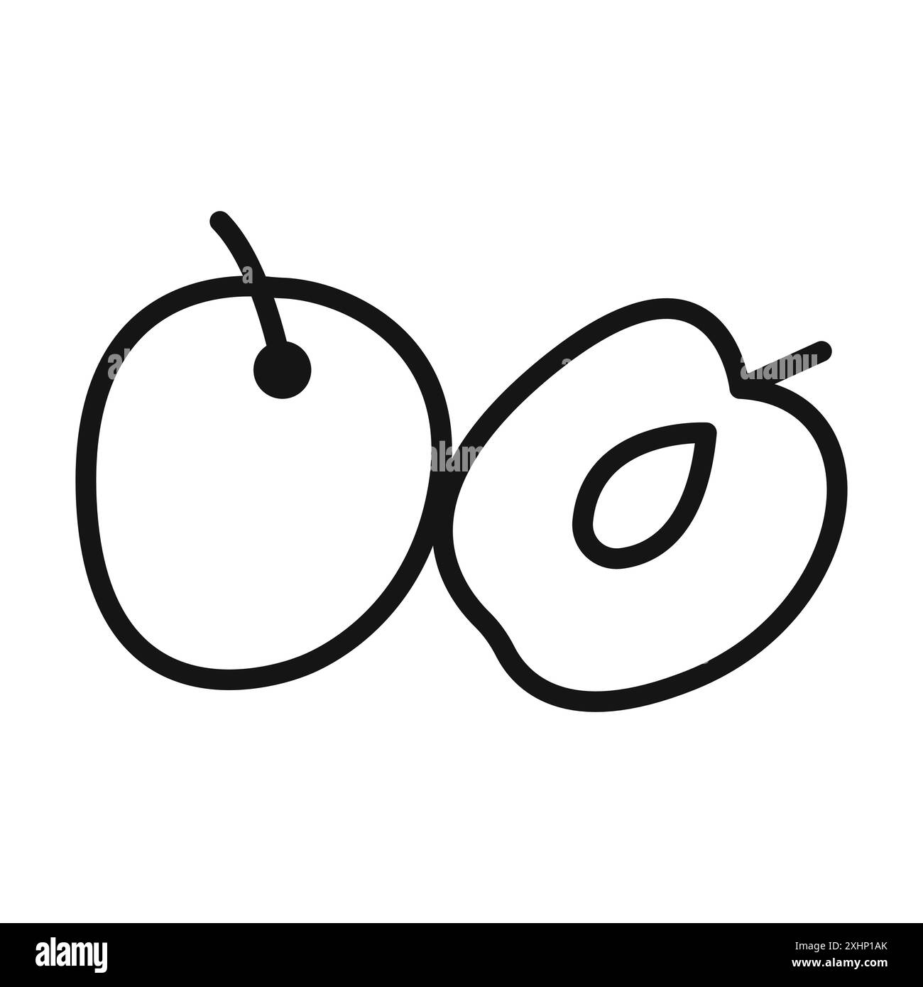 Jujube icon Black line art vector in black and white outline set ...