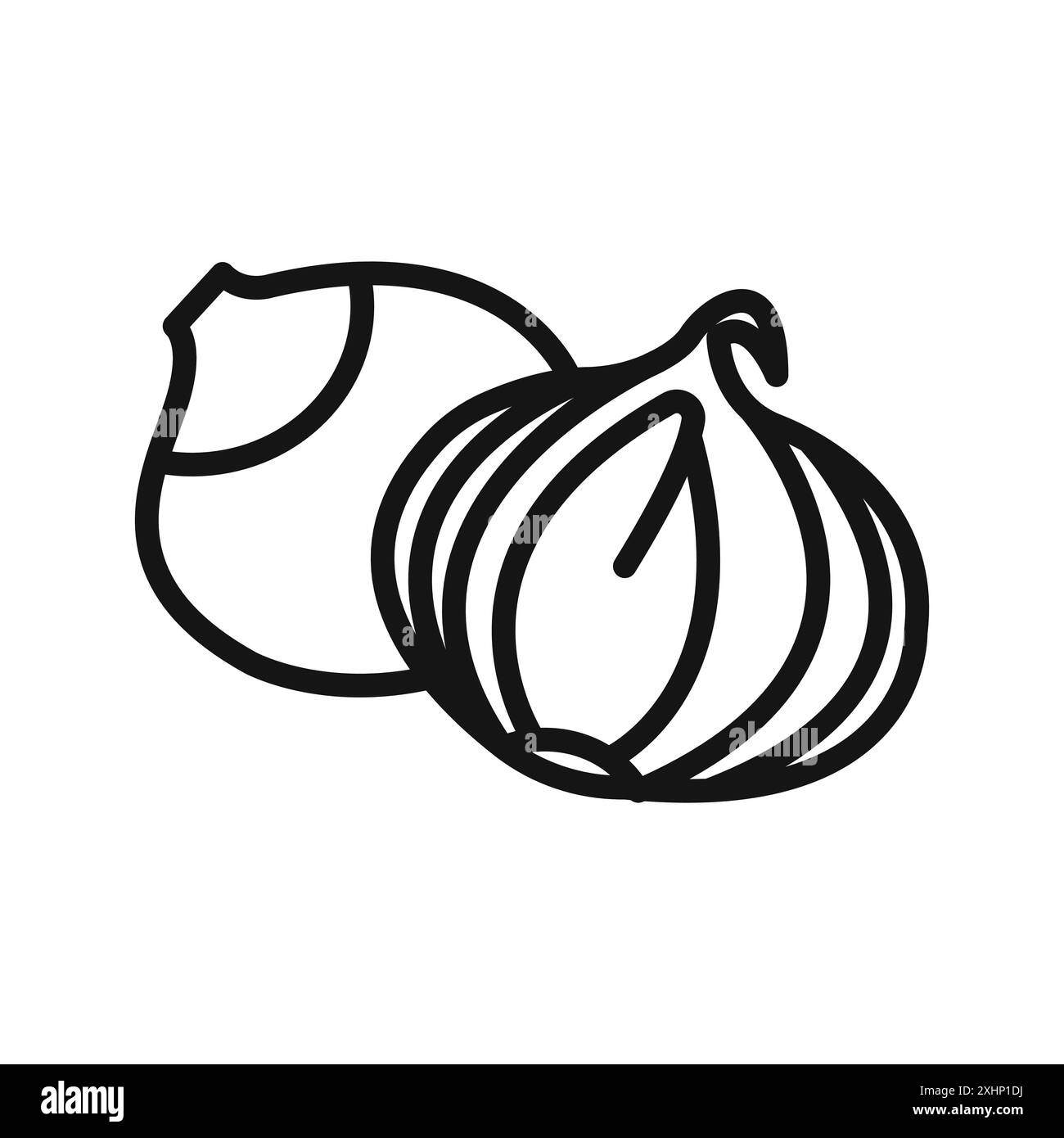 shallots icon Black line art vector in black and white outline set ...