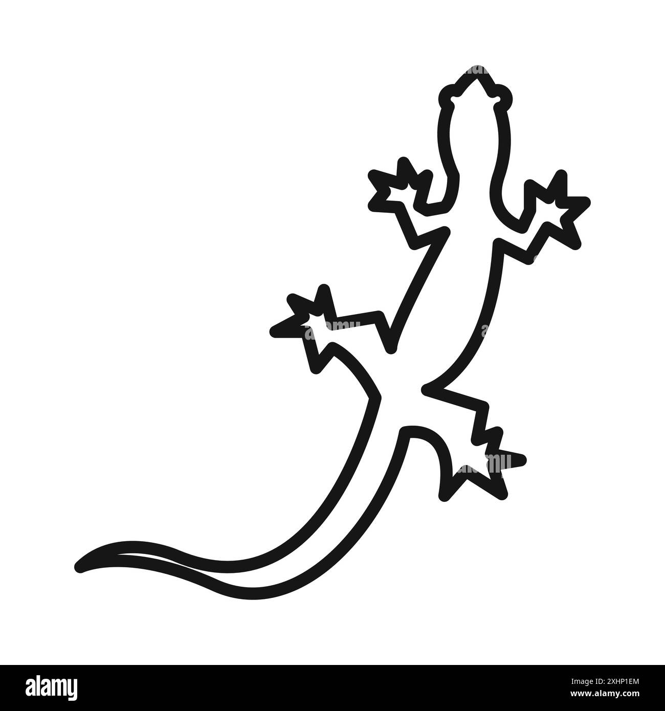 Lizard icon Black line art vector in black and white outline set ...