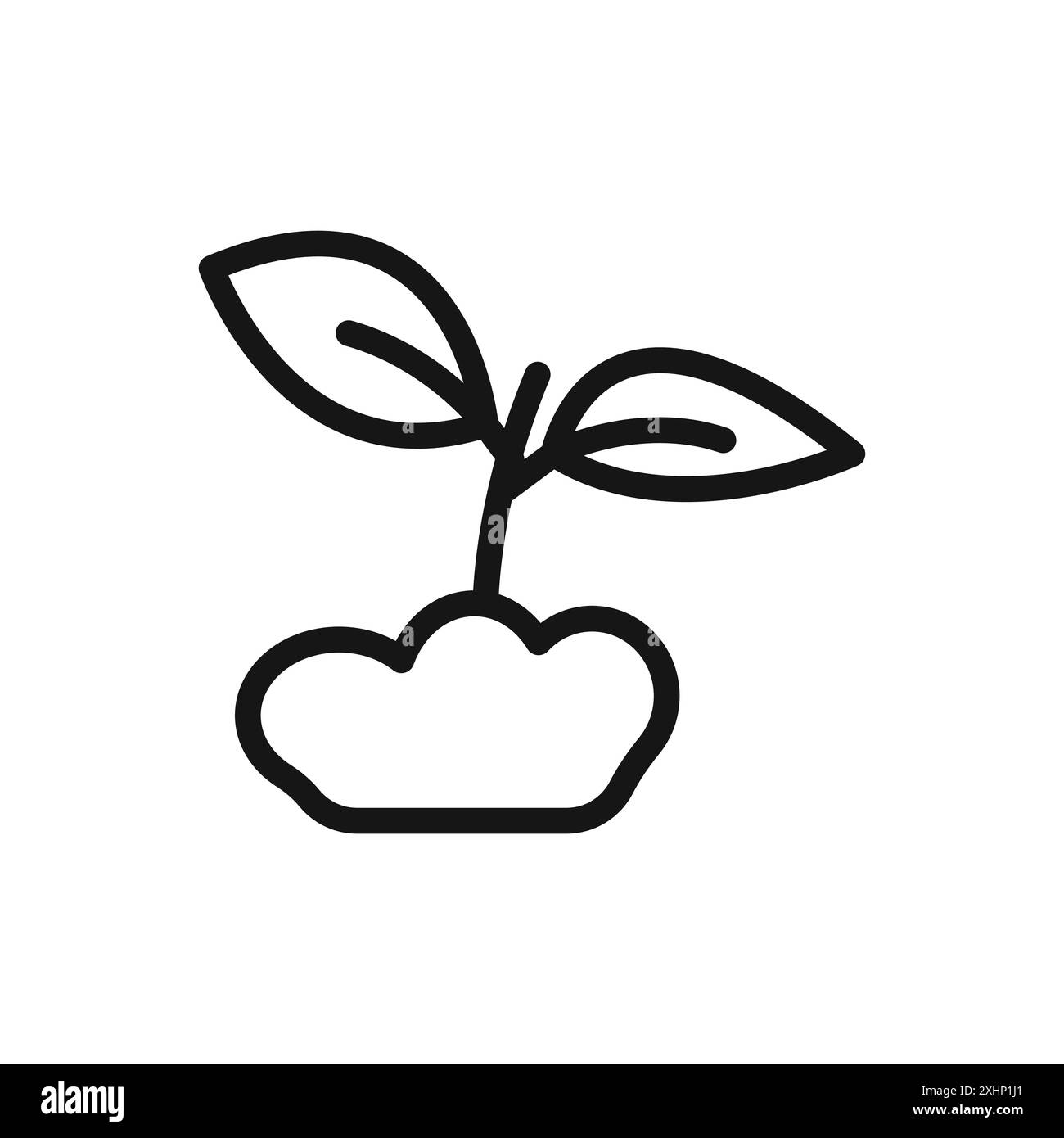 Seedling in soil icon Black line art vector in black and white outline ...