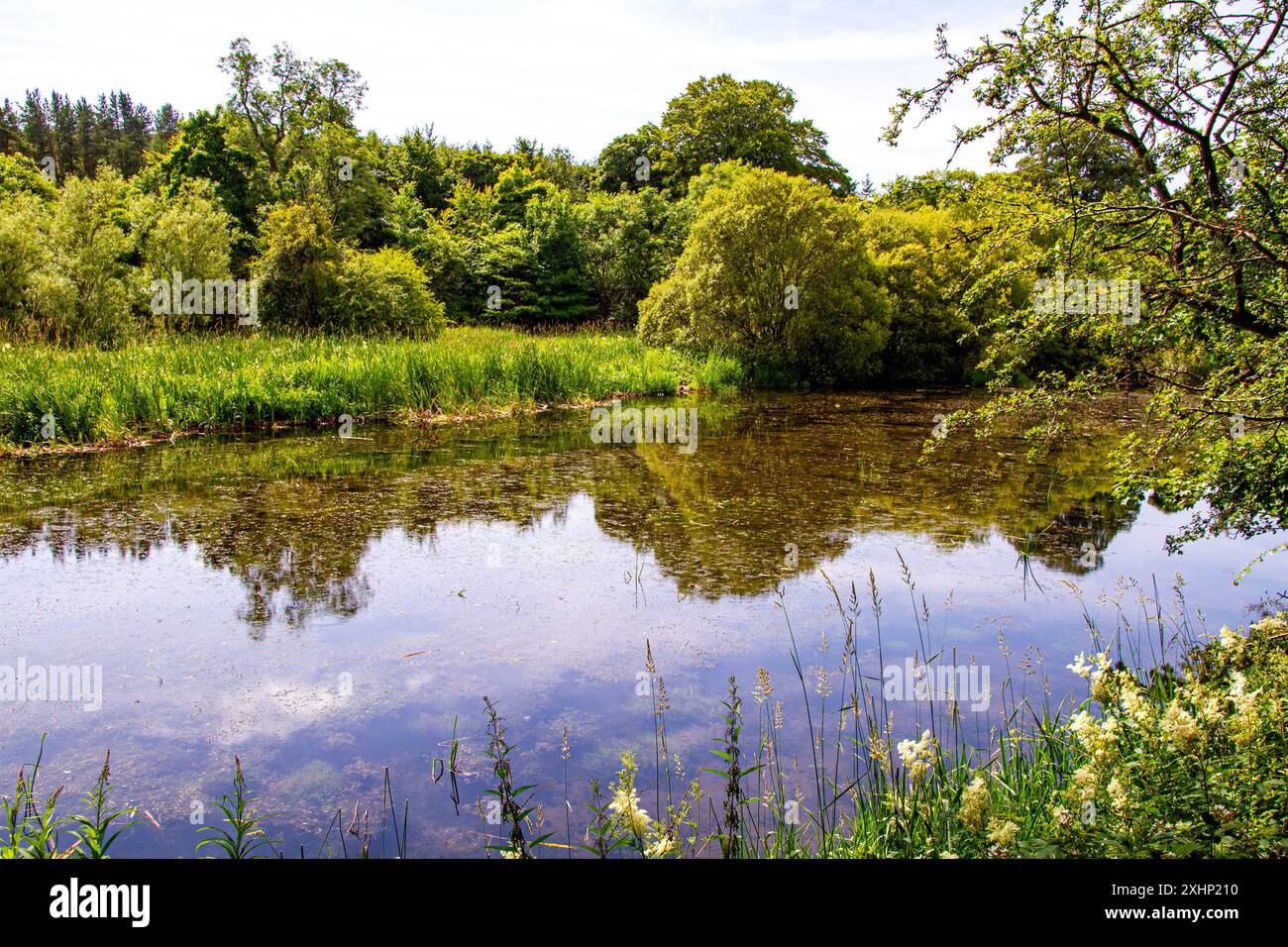 Dundee, Tayside, Scotland, UK. 15th July, 2024. UK Weather: Warm July ...