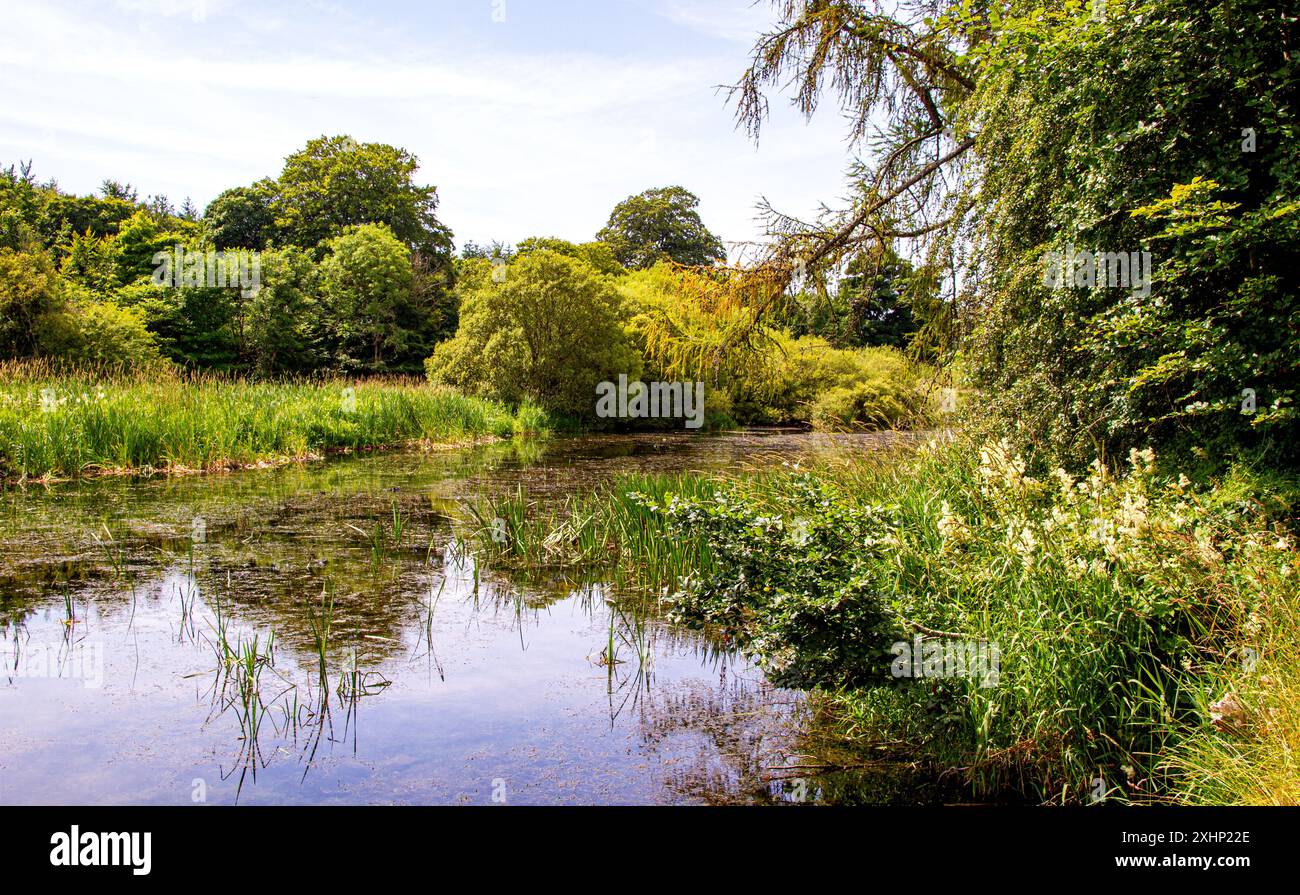 Trottick mill pond dundee hi-res stock photography and images - Alamy