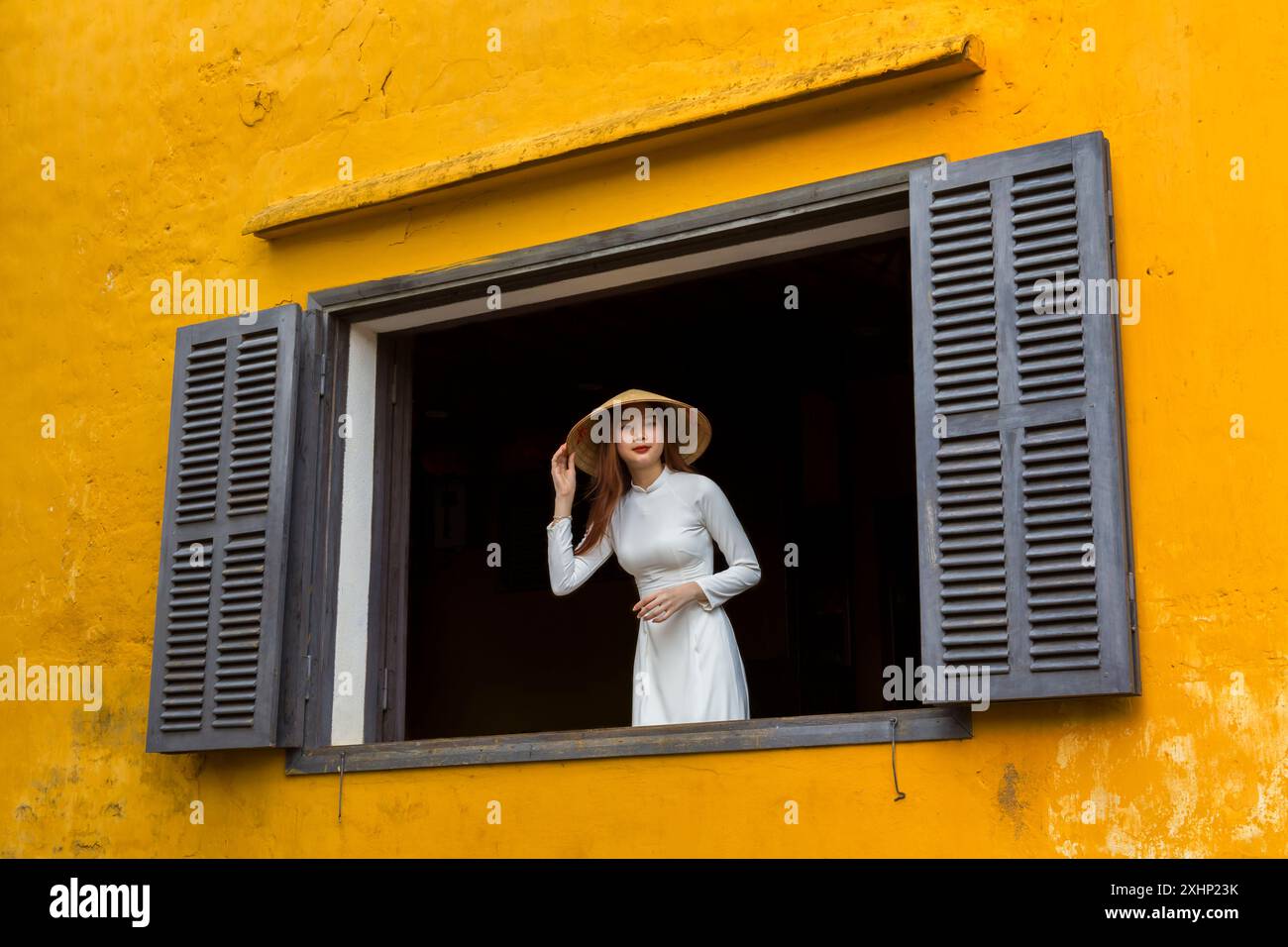 Pretty Vietnamese young woman wearing traditional Ao Dai dress and ...