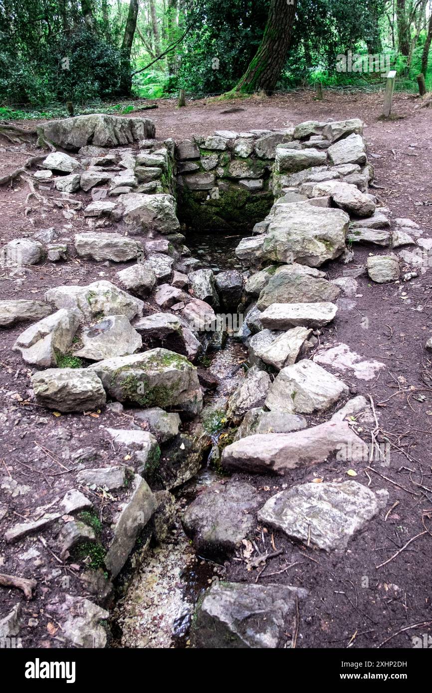 Michael Bunel / Le Pictorium - The Barenton fountain - 13/07/2024 ...