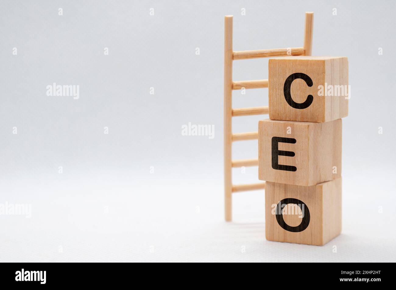 Chief networking officer text hi-res stock photography and images - Alamy