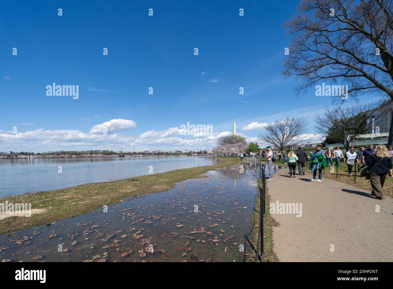 Washington, DC - March 17, 2024: Flooded walkways around the Tidal ...