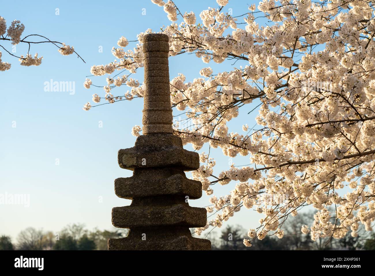 Close up of the Japanese Pagoda at the Washington DC Tidal Basin during ...
