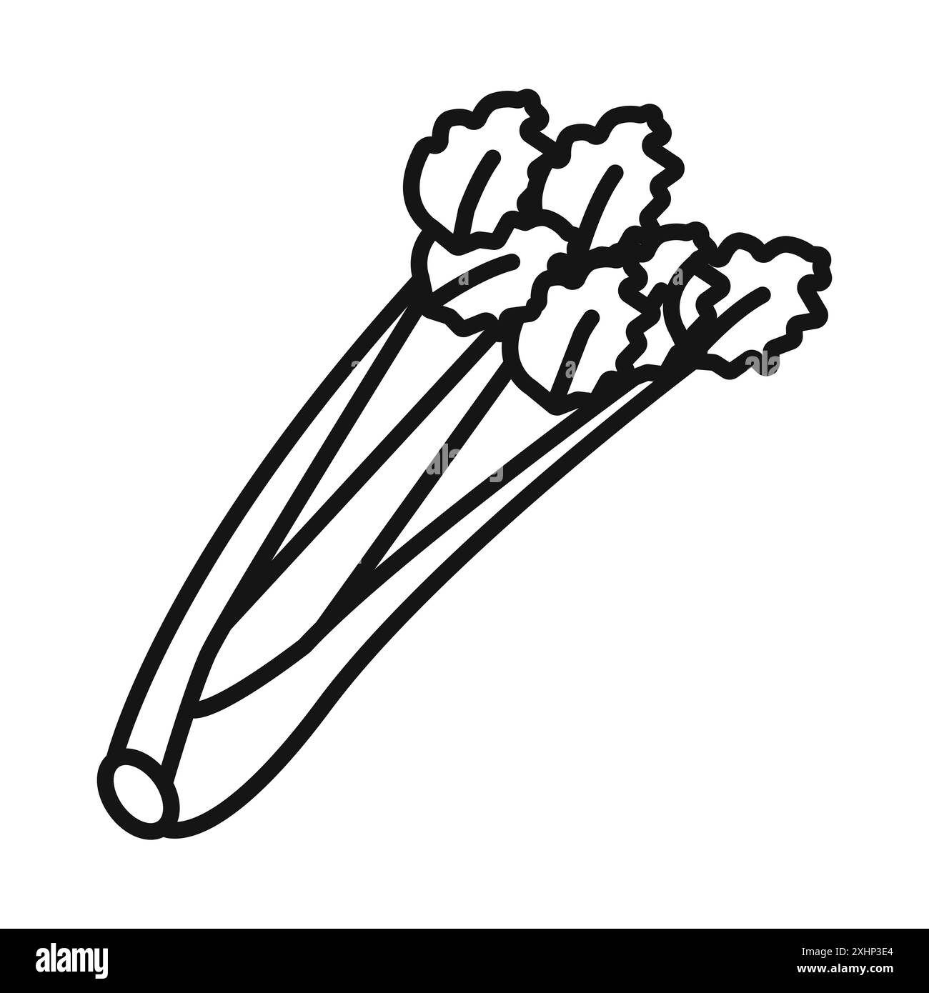 Celery Clipart Black And White Celery Linear Icon Royalty Free Vector