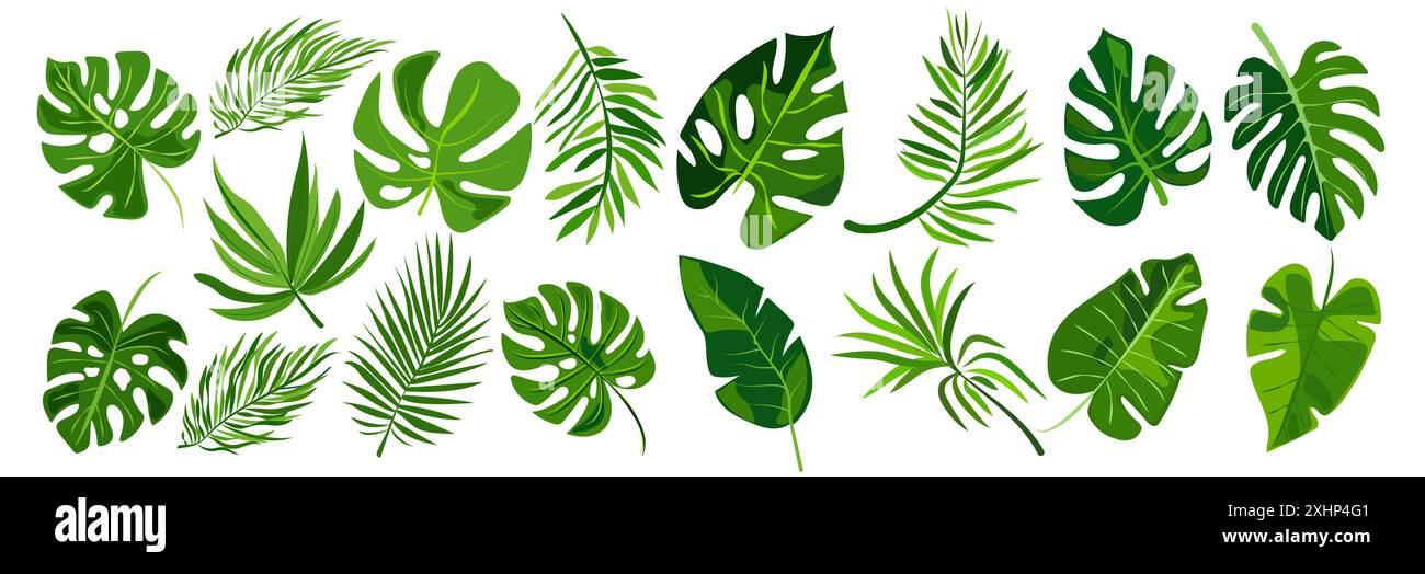 features eight different types of green leaves, each with distinct ...