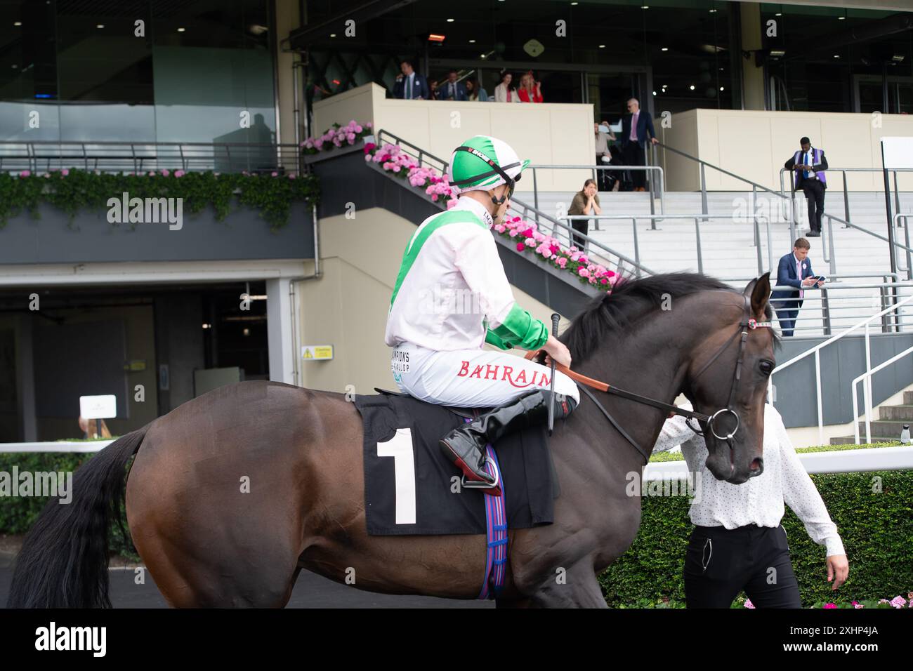 Charles hills race horse trainer hi-res stock photography and images ...