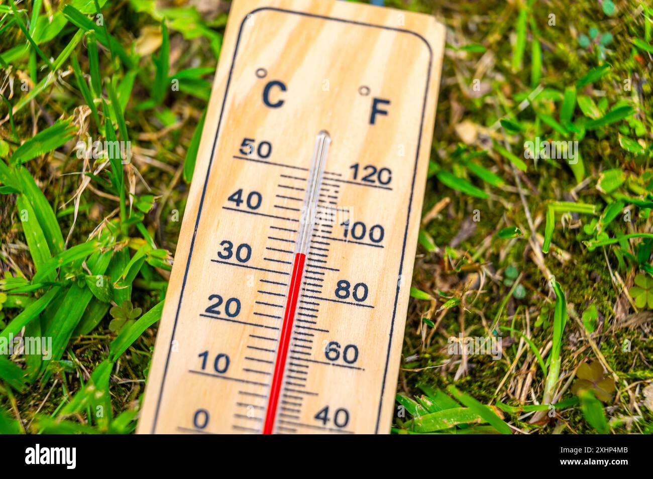 Thermometer in the grass. Rising temperatures and global warming Stock ...