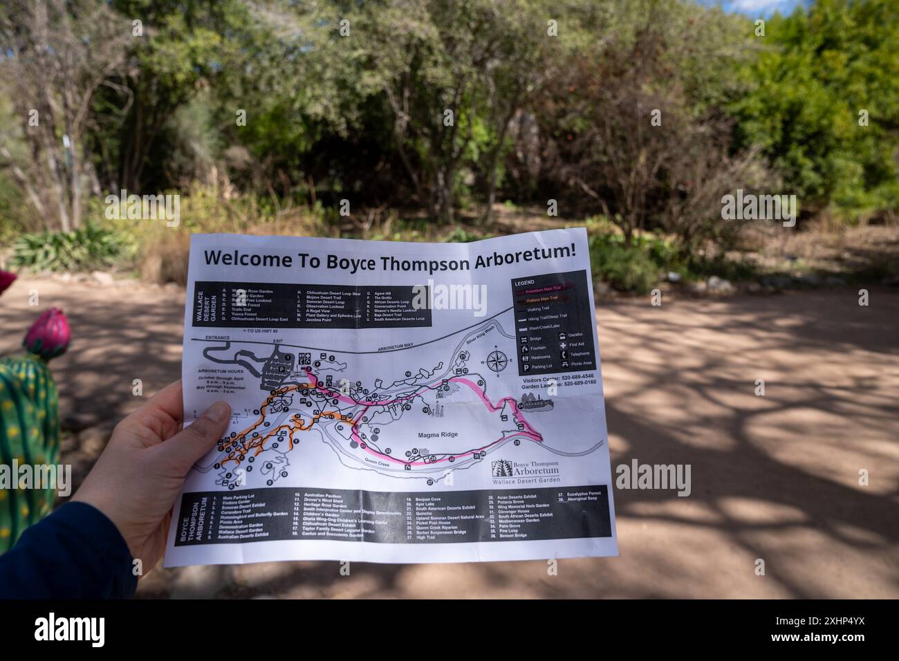Superior, Arizona - March 3, 2024: Hand holds up a paper map of the ...