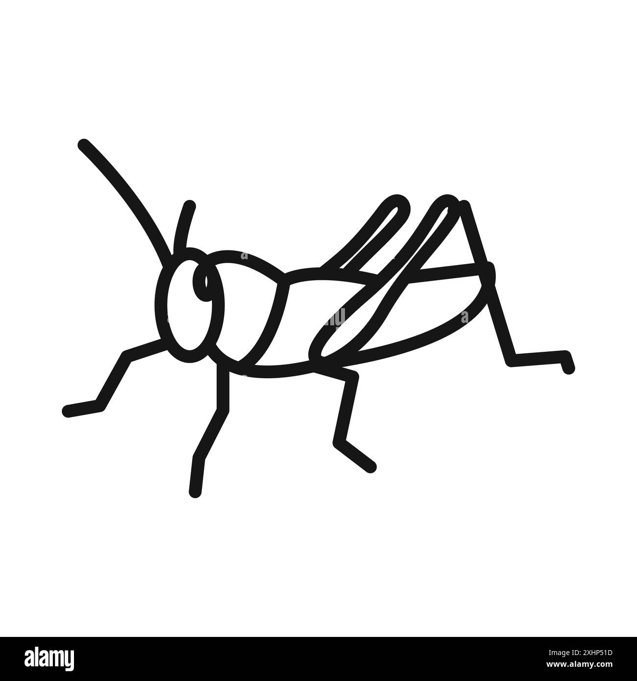 Grasshopper drawing Black and White Stock Photos & Images - Alamy