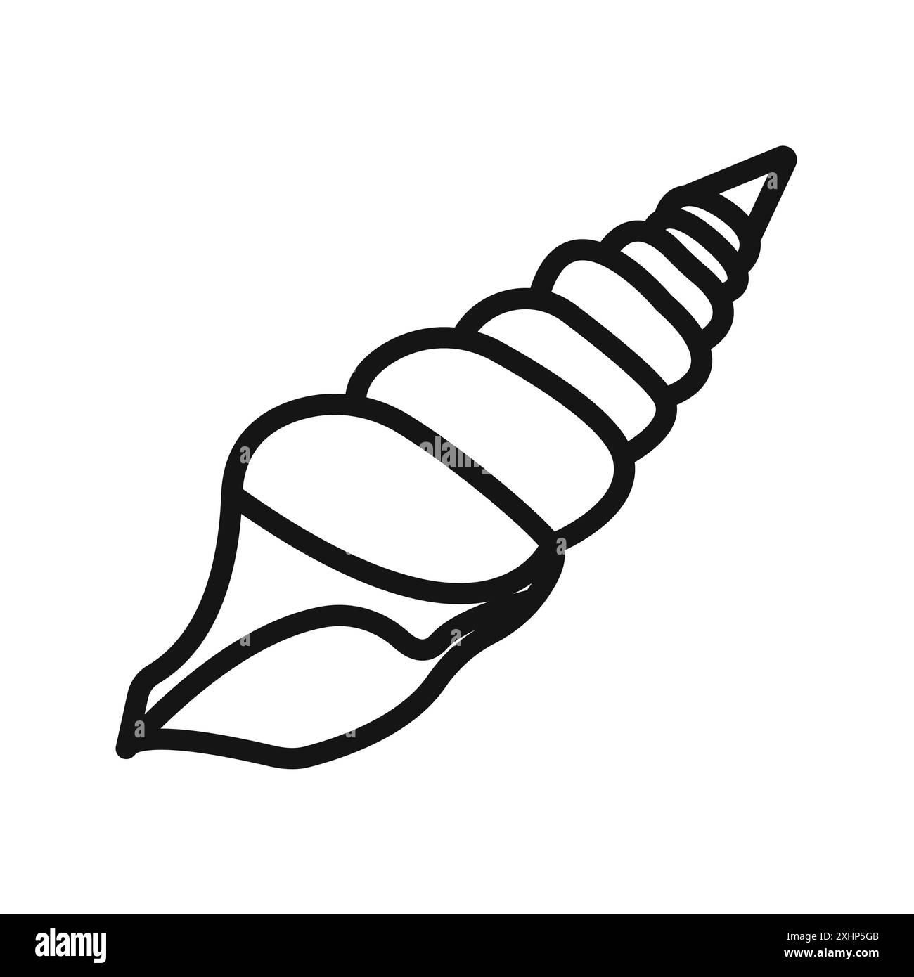 Sea shell icon Black line art vector in black and white outline set ...