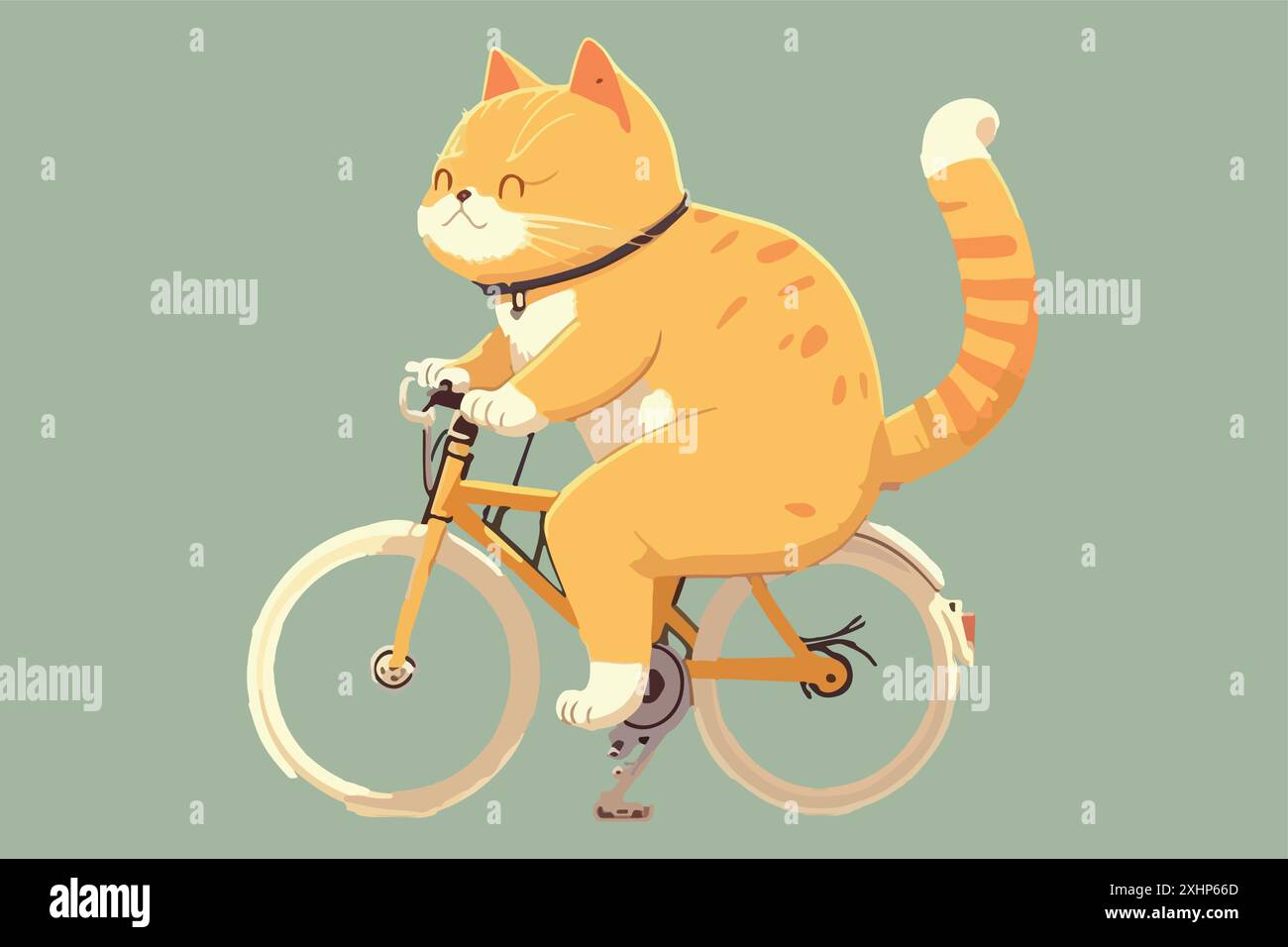 Cat riding a motorcycle hi-res stock photography and images - Alamy