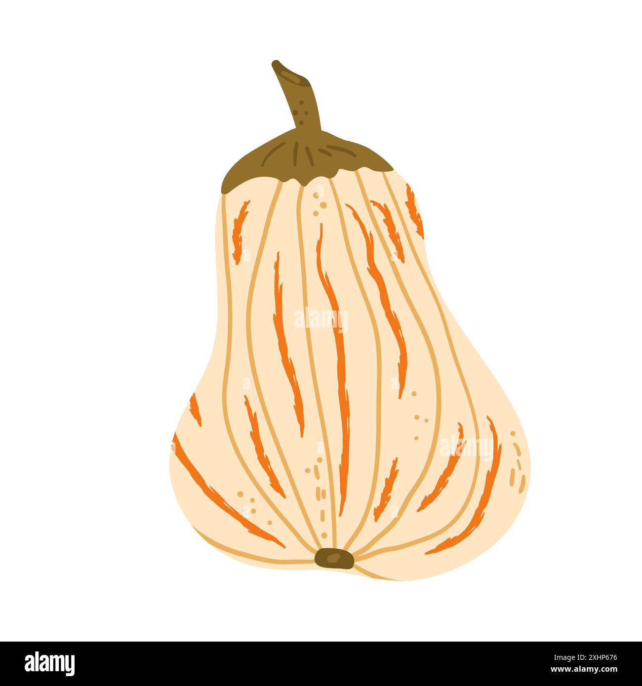 White pumpkin isolated on white background. Textured stylized autumn ...