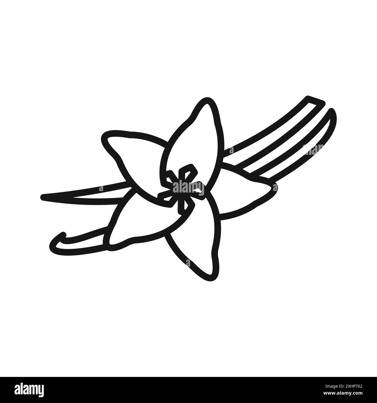 Vanilla icon Black line art vector in black and white outline set ...