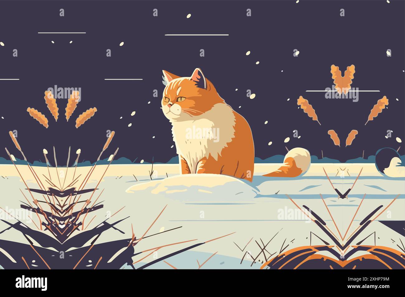 Grumpy cat winter hi-res stock photography and images - Alamy