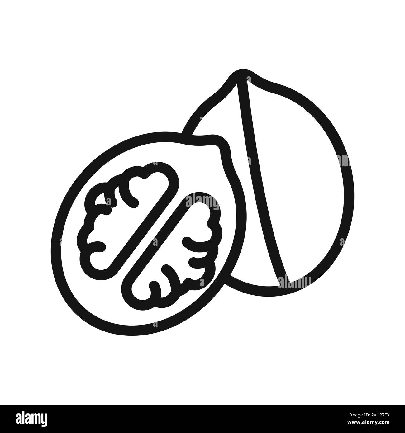 Walnut icon Black line art vector in black and white outline set ...