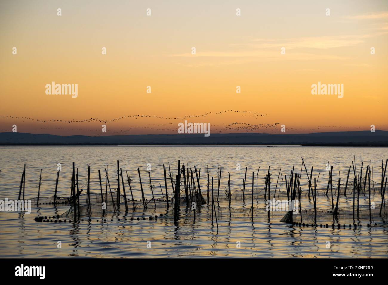 Natural park of la Albufera at sunset in Valencia, Spain Stock Photo ...