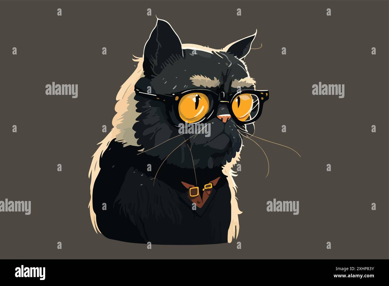 Old cat meme hi-res stock photography and images - Alamy