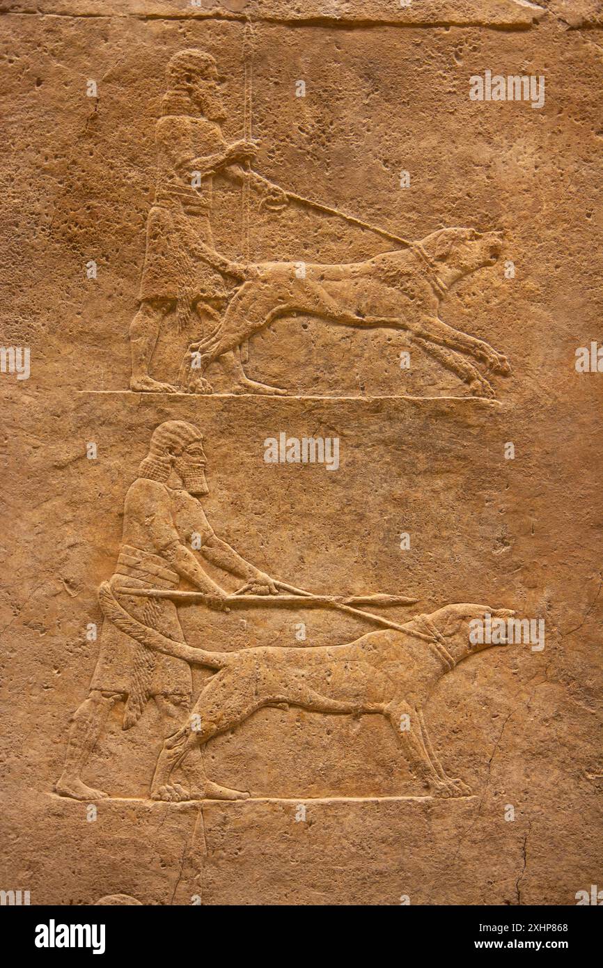 Keepers with mastiffs on the edge of lion-hunt area. Part of Lion Hunt ...