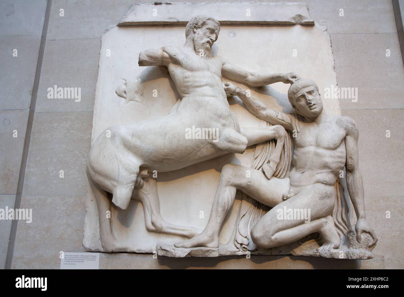 Centaur fighting a Lapith . Part of Elgin Marbles collection. British Museum, London, England ...