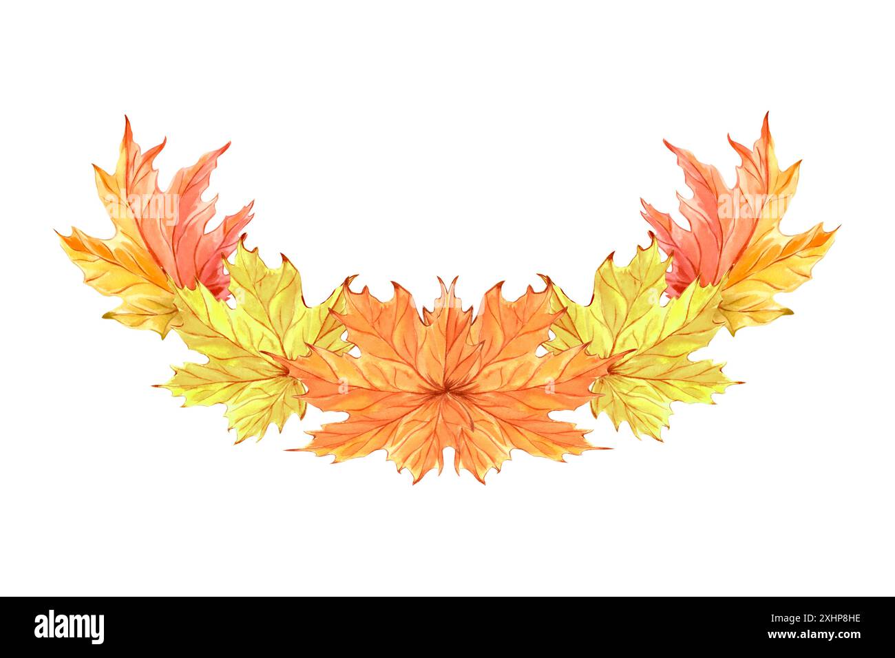 Fall maple leaves. Composition of autumn foliage. Hand drawn watercolor ...
