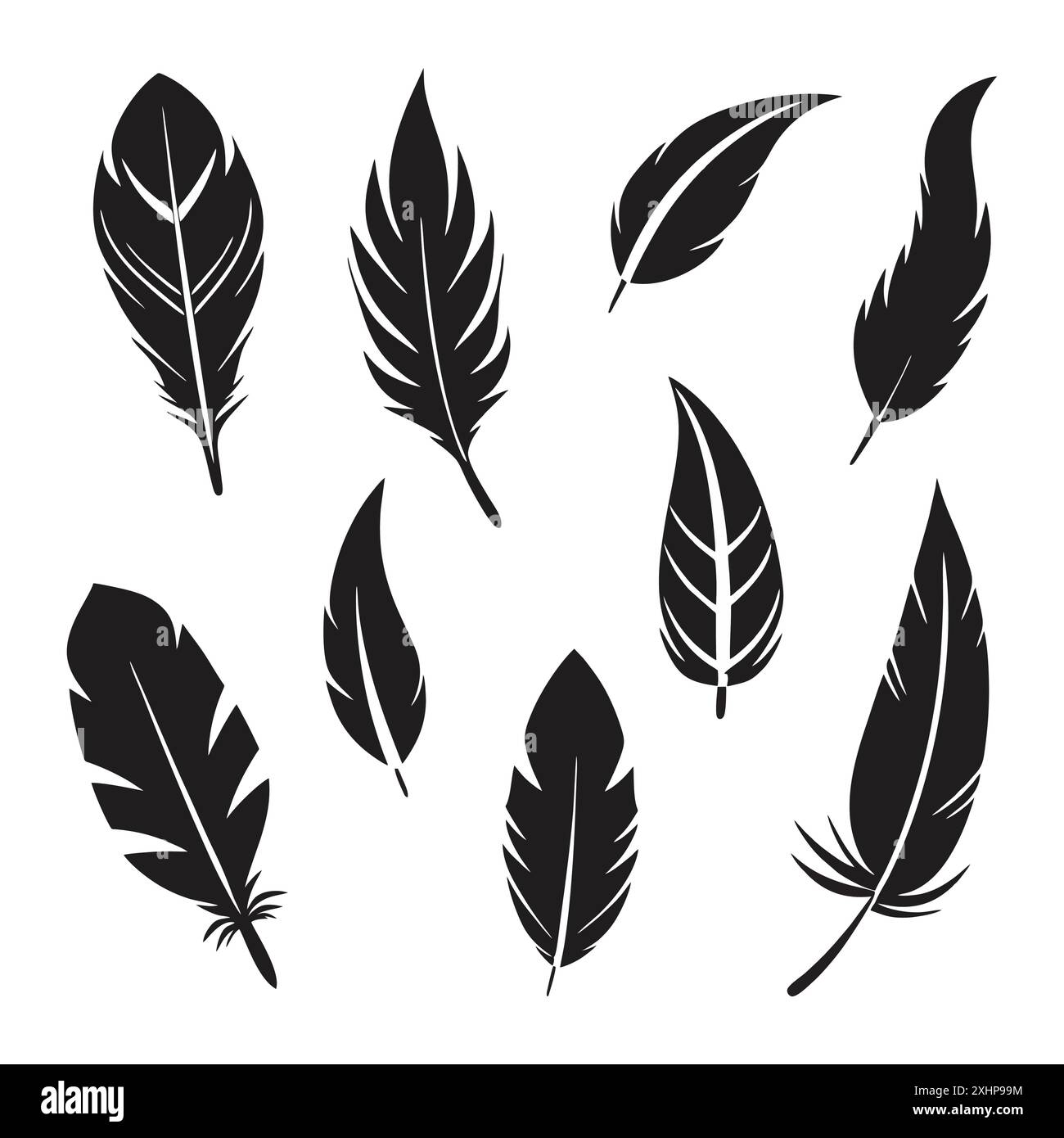 Feather icons Set Different types on white background Stock Vector ... Feather icons Set Different types on white background Stock Vector ...